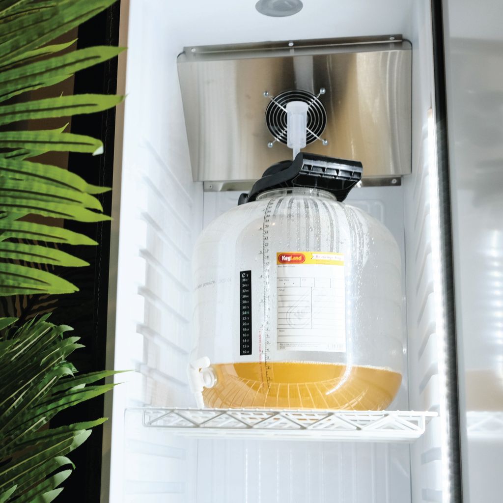 RAPT Fermentation Chamber - The Men's Cave