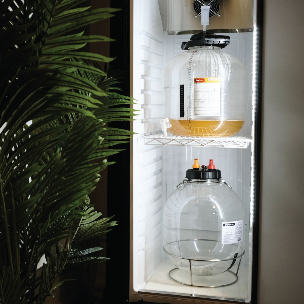 RAPT Fermentation Chamber - The Men's Cave